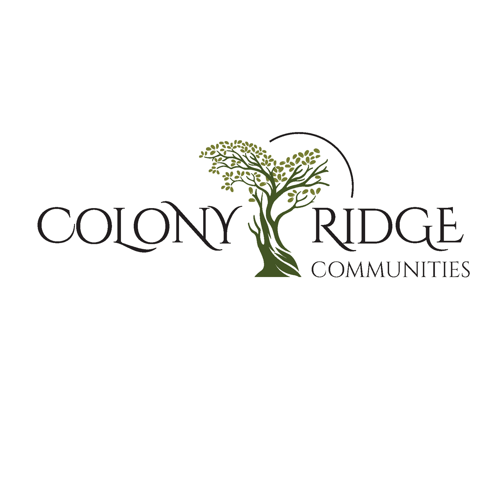 CFPB and DOJ Sue Texas Developer Colony Ridge, Alleging Illegal Land ...
